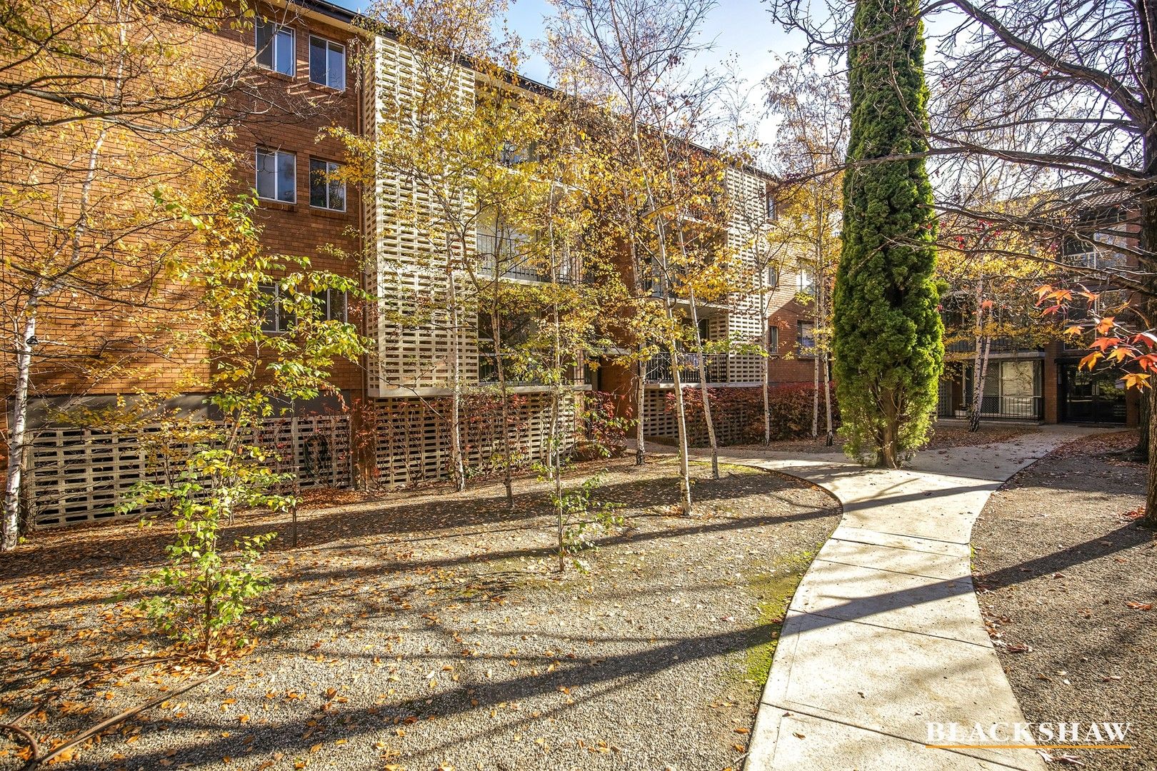 1/99 Canberra Avenue, Griffith ACT 2603 - Apartment For Rent | Domain