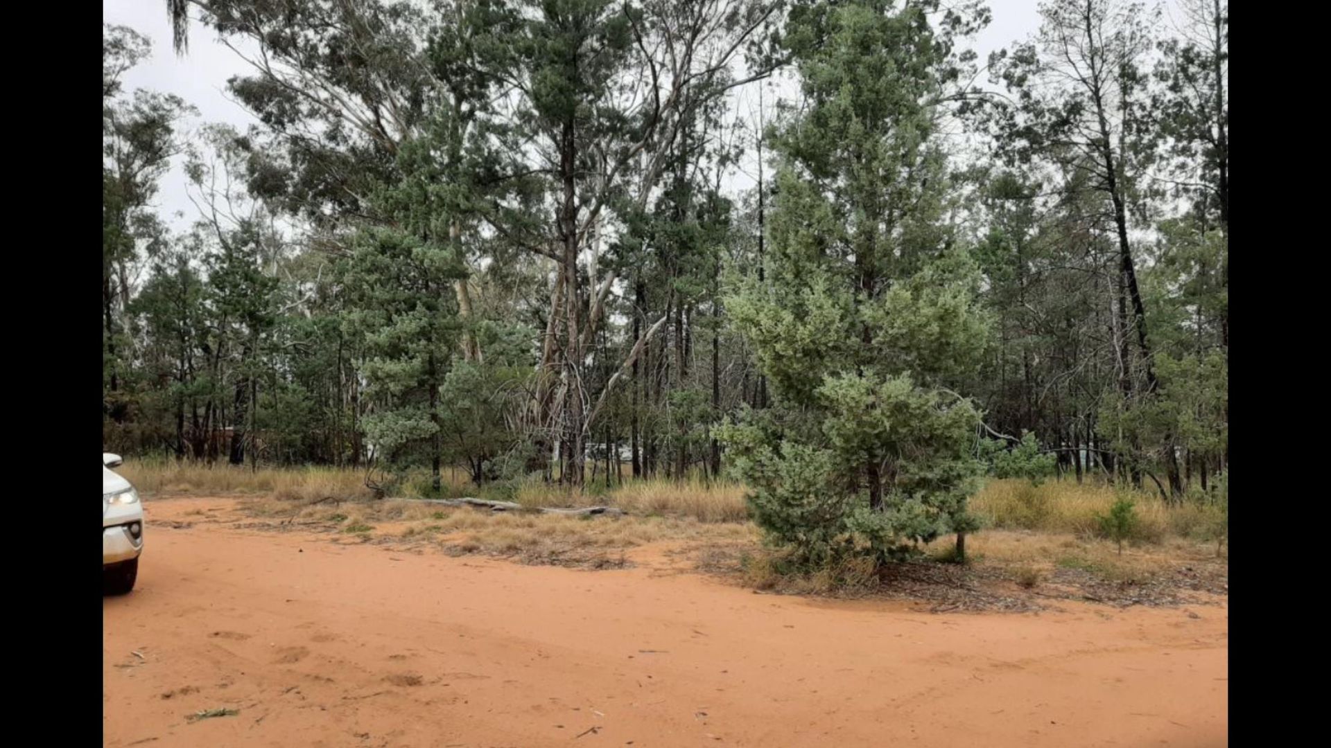 27 Holmes St, Gwabegar NSW 2356 | Domain