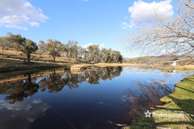 523 Real Estate Properties for Sale in Tingha, NSW, 2369 | Domain