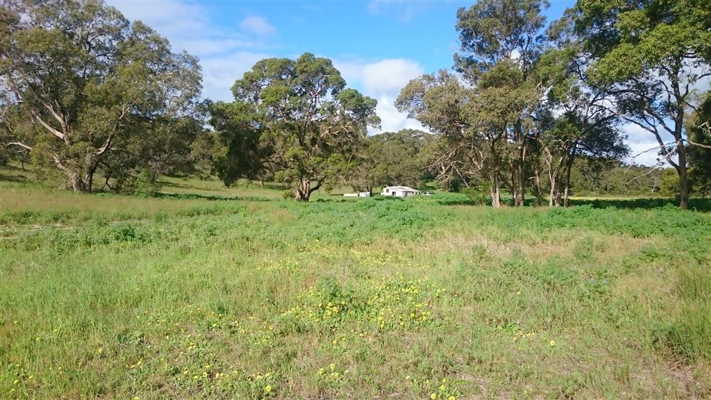 Lot 217 Nabaroo Road, Cowall | Property History & Address Research | Domain