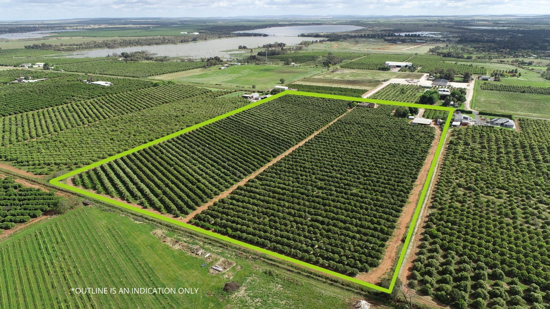 Farm 1821 Druitt Road, Lake Wyangan NSW 2680 - Specialist Farm for Sale