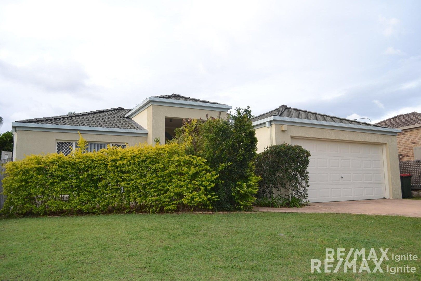 6 Brumby Circuit, Sumner QLD 4074 - House For Rent - $600 | Domain