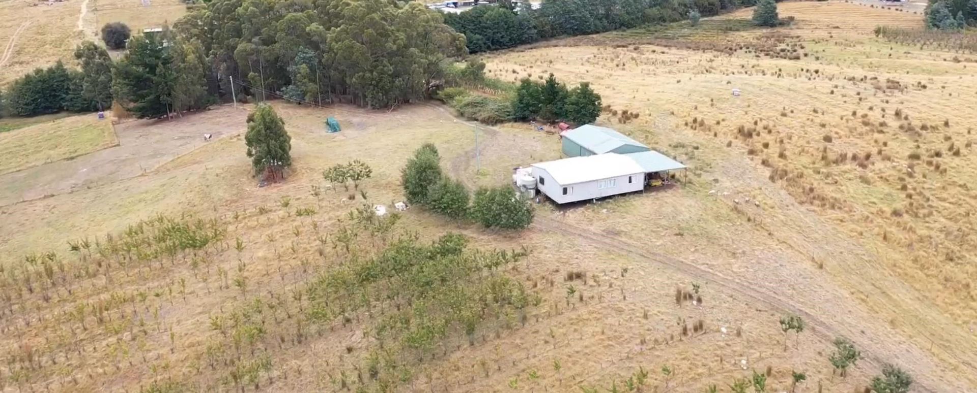 Narrows Road, Strathblane TAS 7109 | Domain