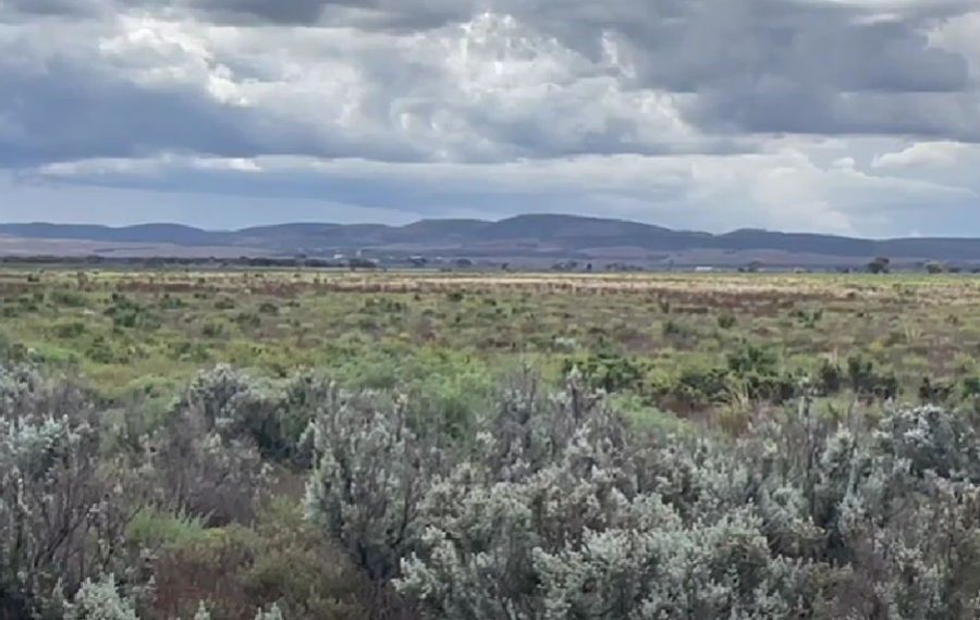 Lot 13 Beach Road, Cowell SA 5602 - Vacant Land for Sale | Domain