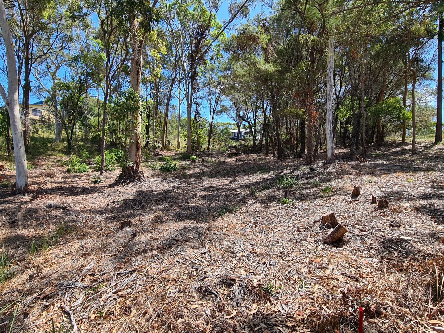 6 Island View Road, Russell Island QLD 4184 | Domain