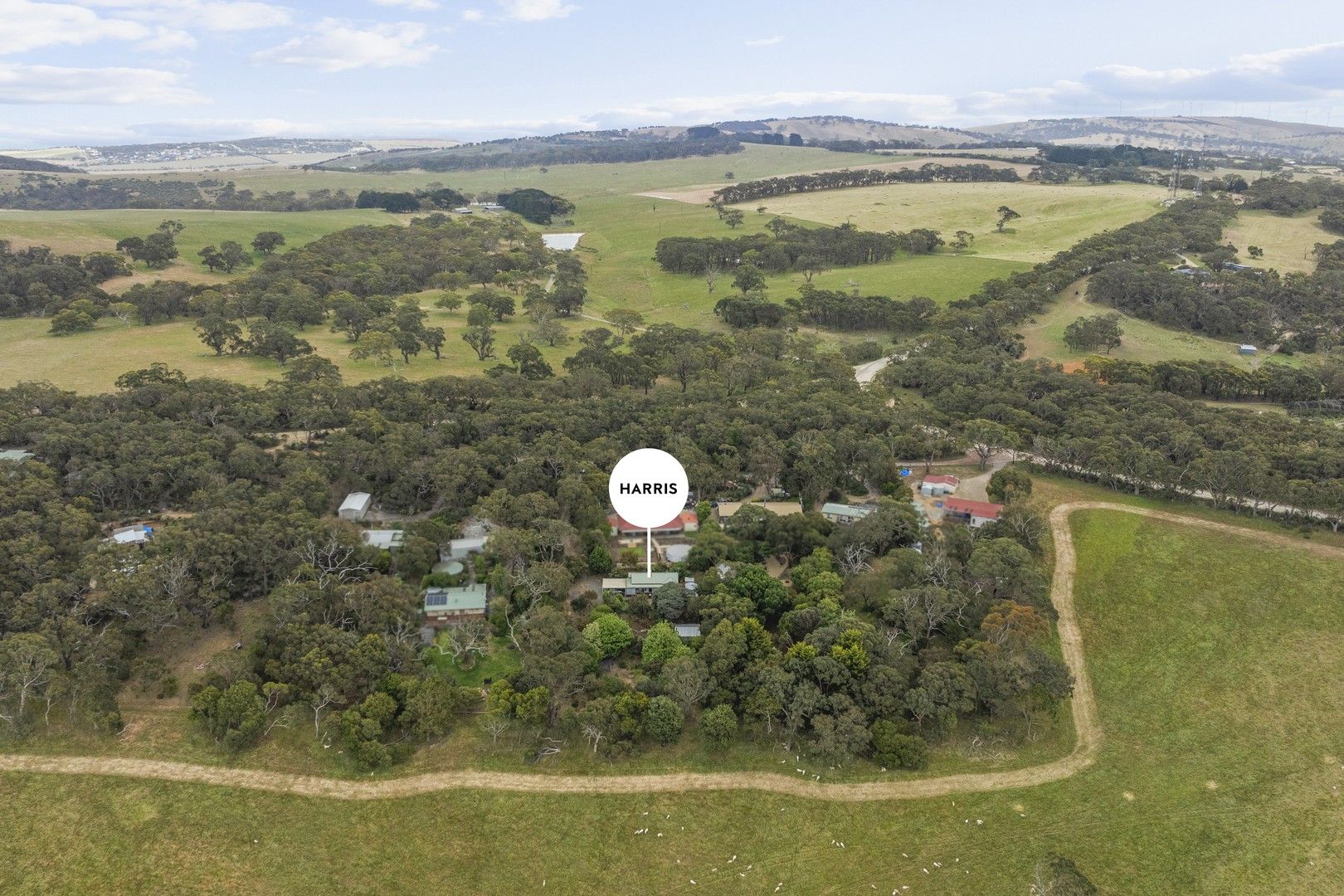 15 Silverton Court, Silverton SA 5204 | Domain