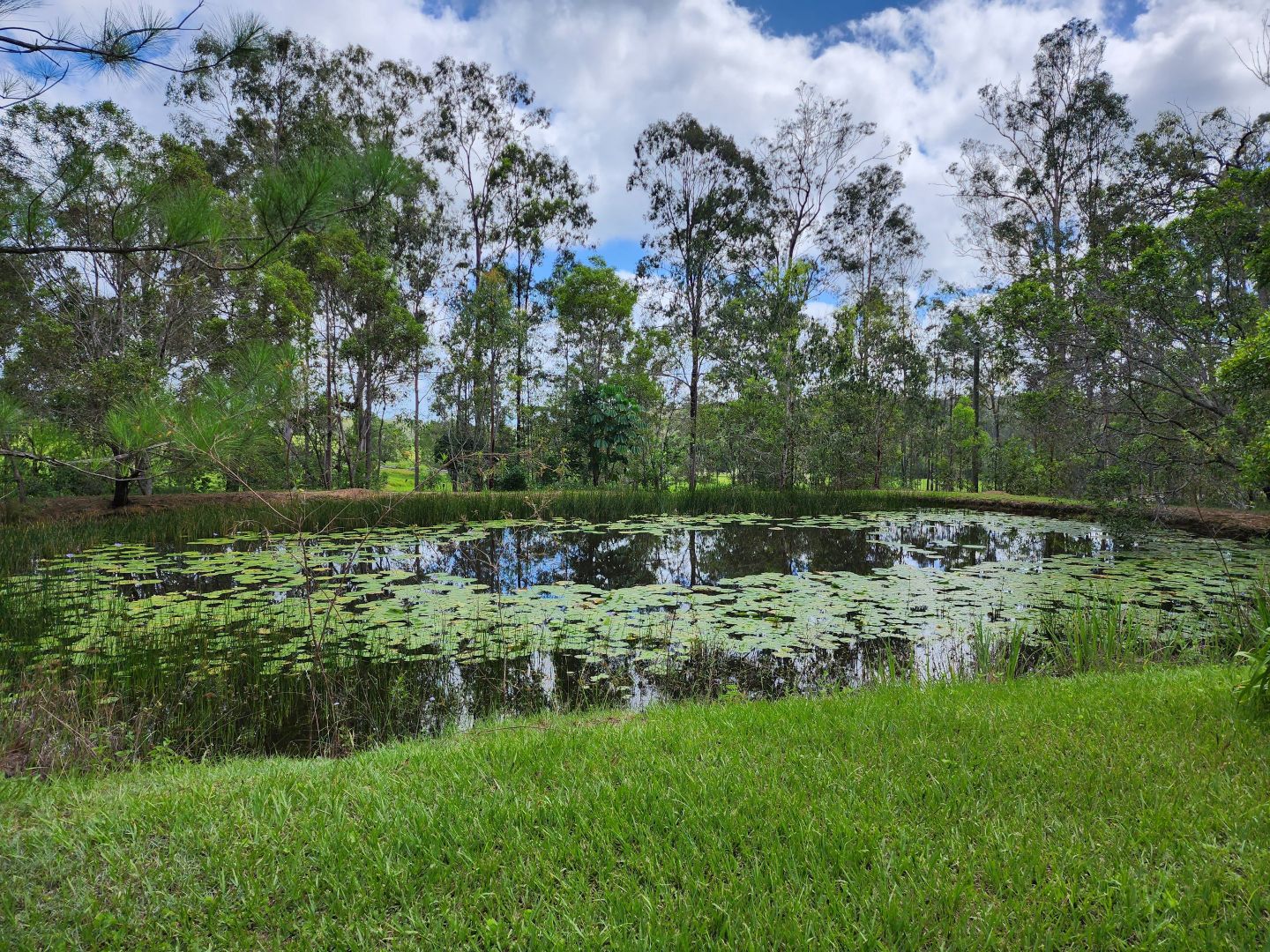 10 Keetje Road, Bauple QLD 4650 | Domain