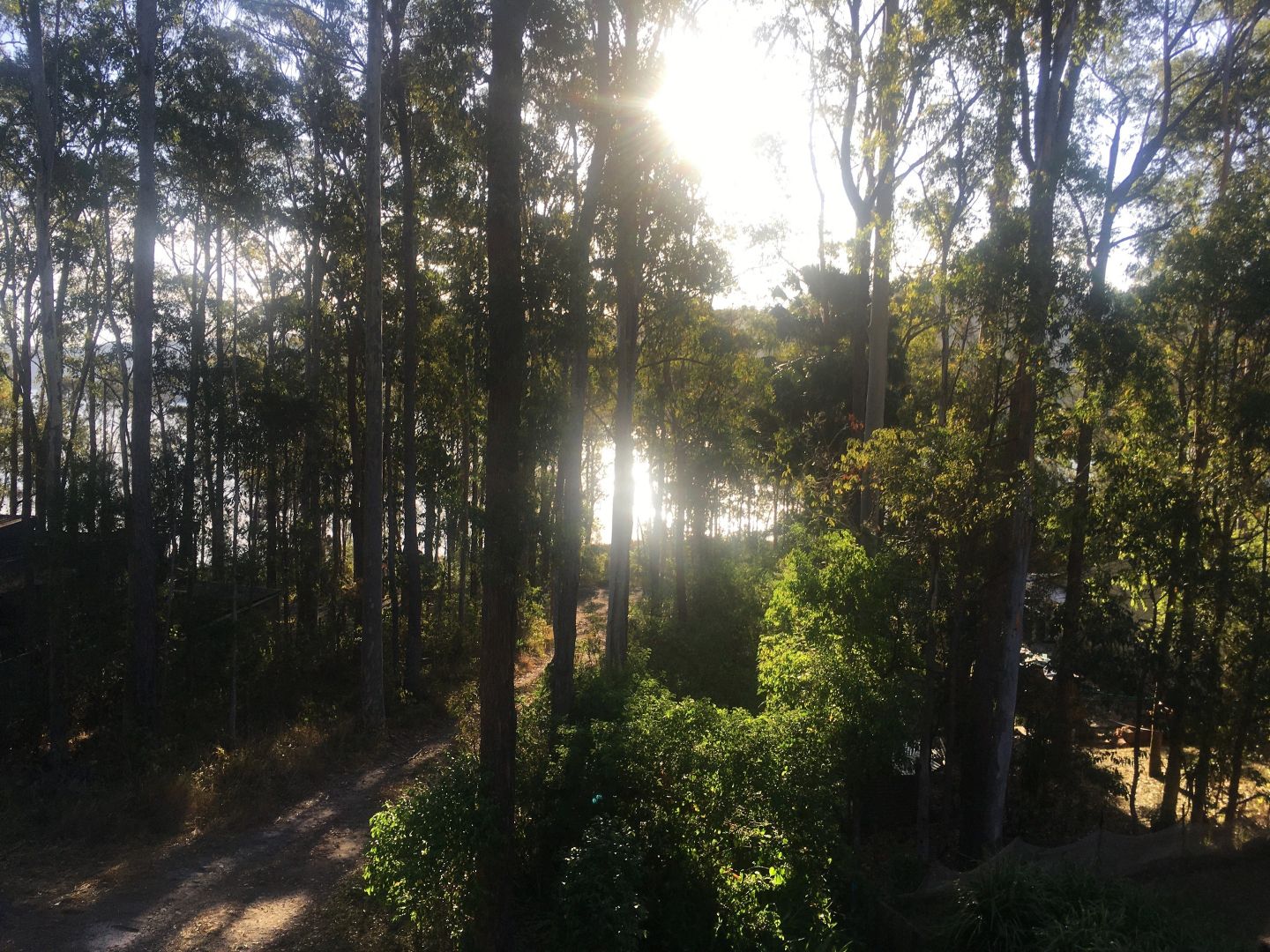 16 Crown Close, Tarbuck Bay NSW 2428 | Domain