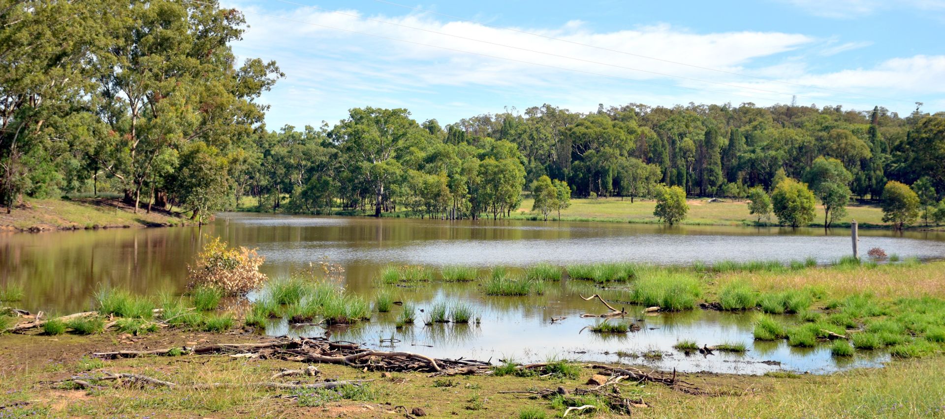 Property Report for 1025 Castlereagh Highway, Dunedoo NSW 2844