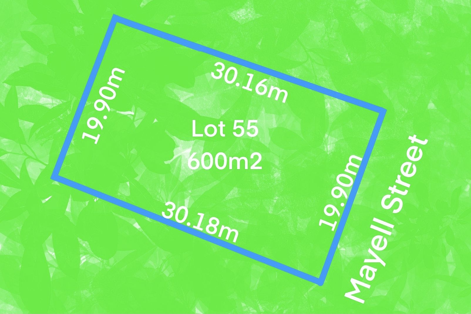 55 Mayell Street, Millicent SA 5280 | Domain