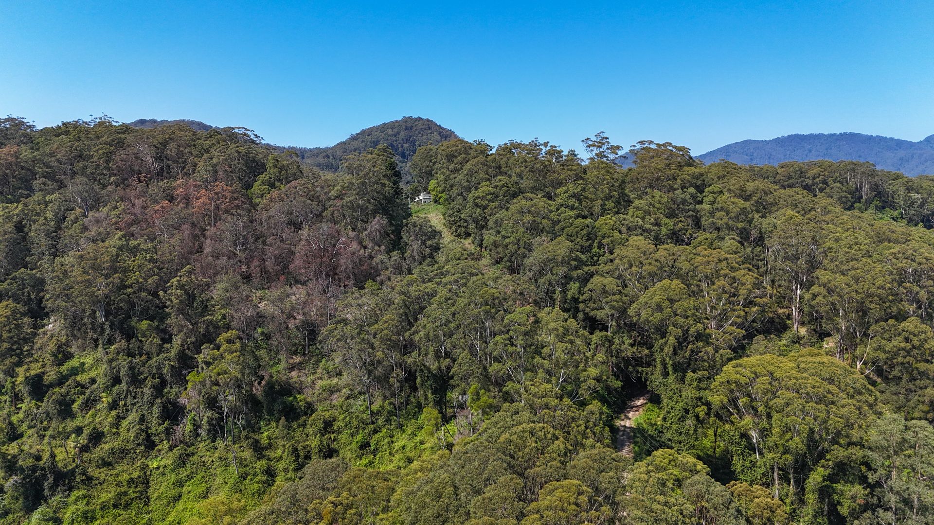 299 South Island Loop Road, Upper Orara NSW 2450 | Domain