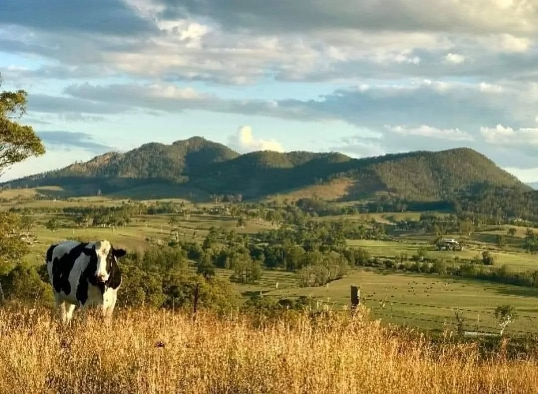 81 Kia Ora Hill Road, Bowman Farm VIA, Gloucester NSW 2422 - Specialist ...