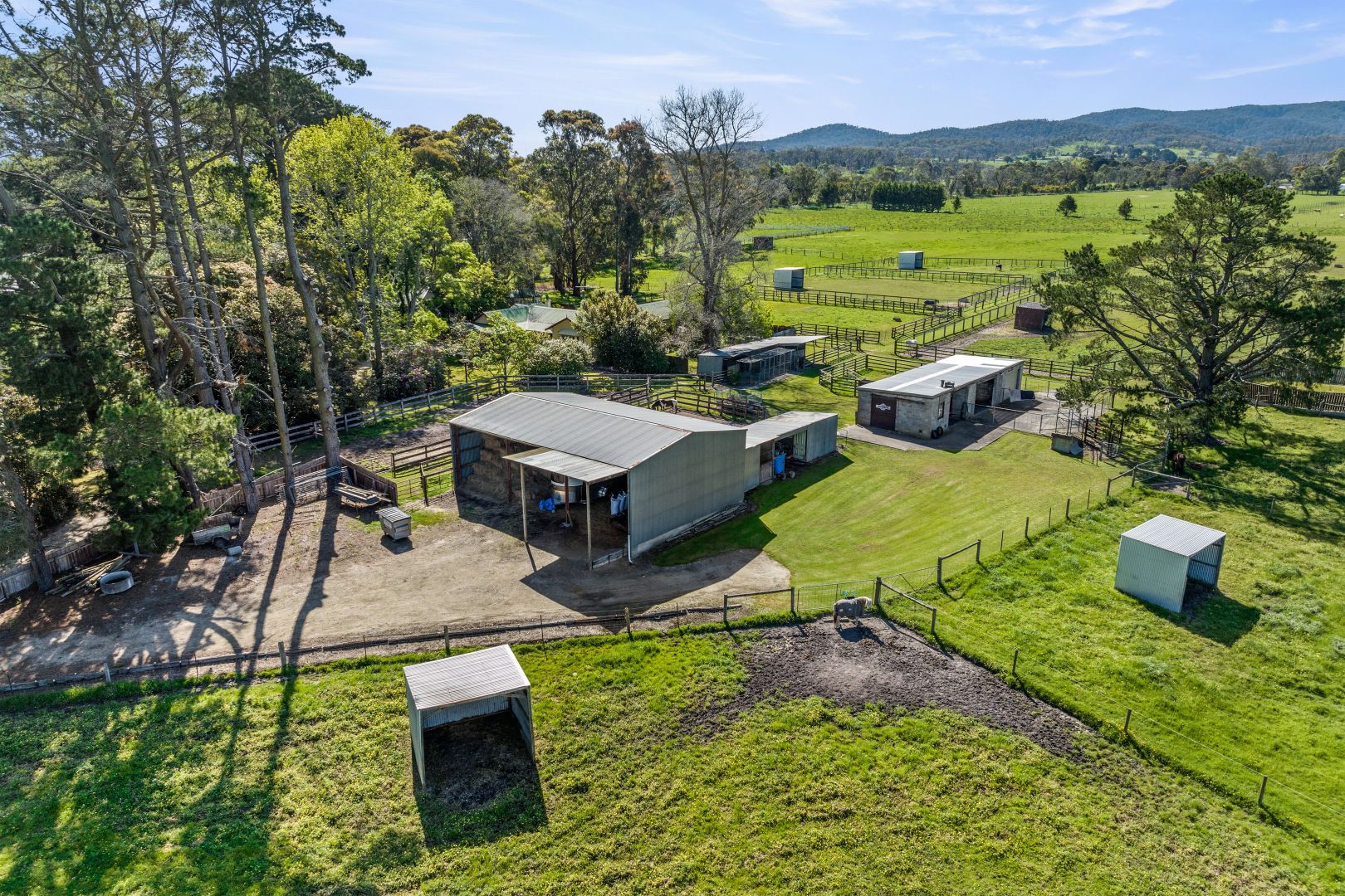 19 Bassed Road, Garfield North VIC 3814 - House for Sale | Domain