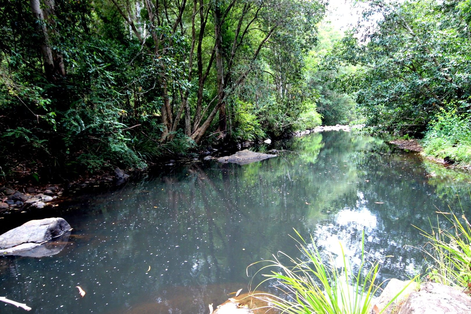 1538 Comboyne Road, Byabarra NSW 2446 - House for Sale | Domain