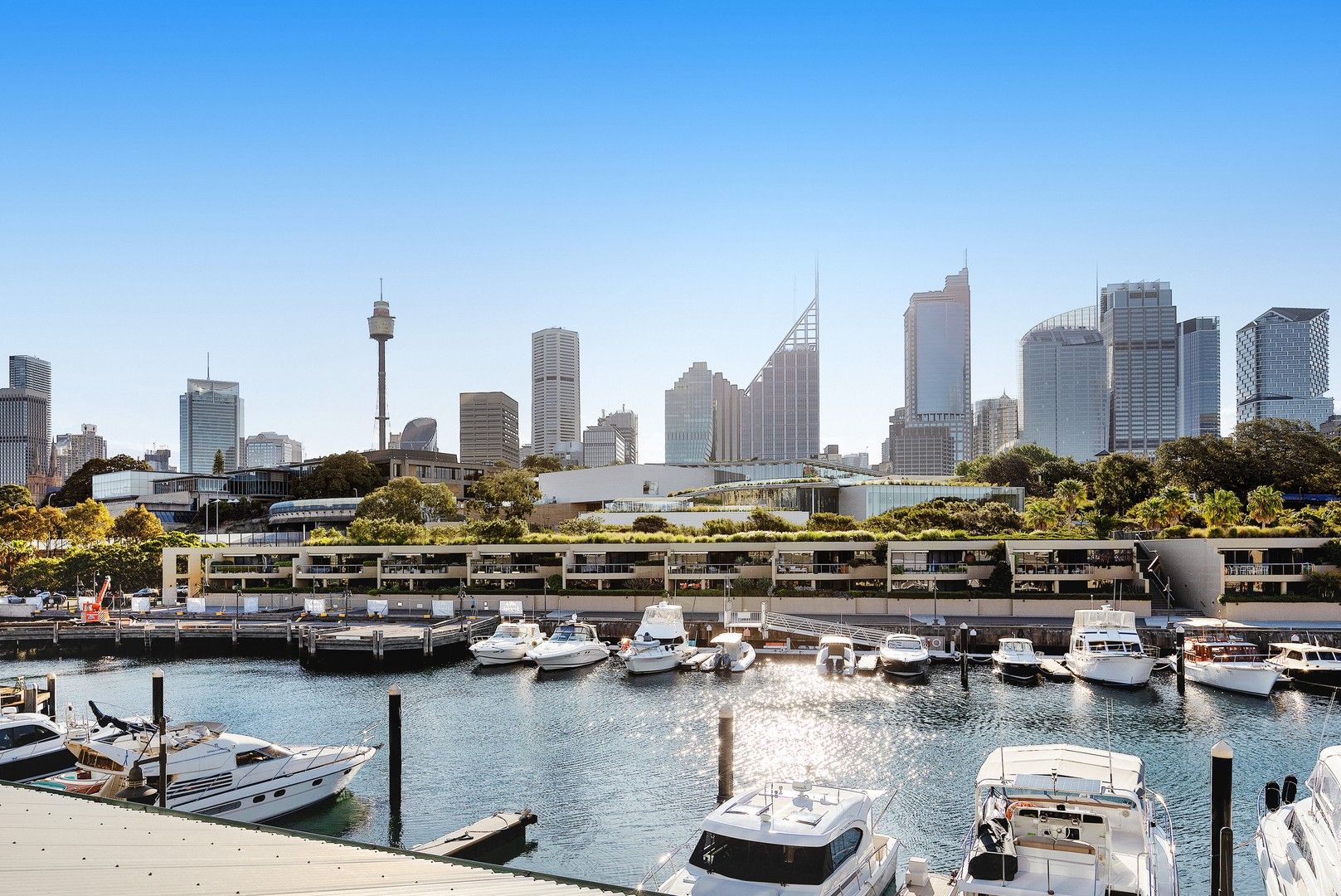 369/6 Cowper Wharf Roadway, Woolloomooloo NSW 2011 | Domain