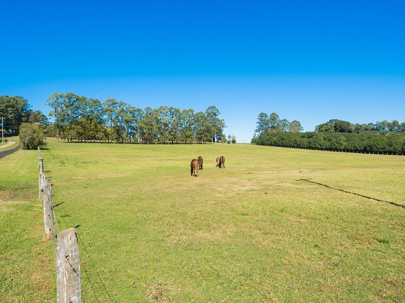 Rous Mill NSW 2477 - House for Sale | Domain