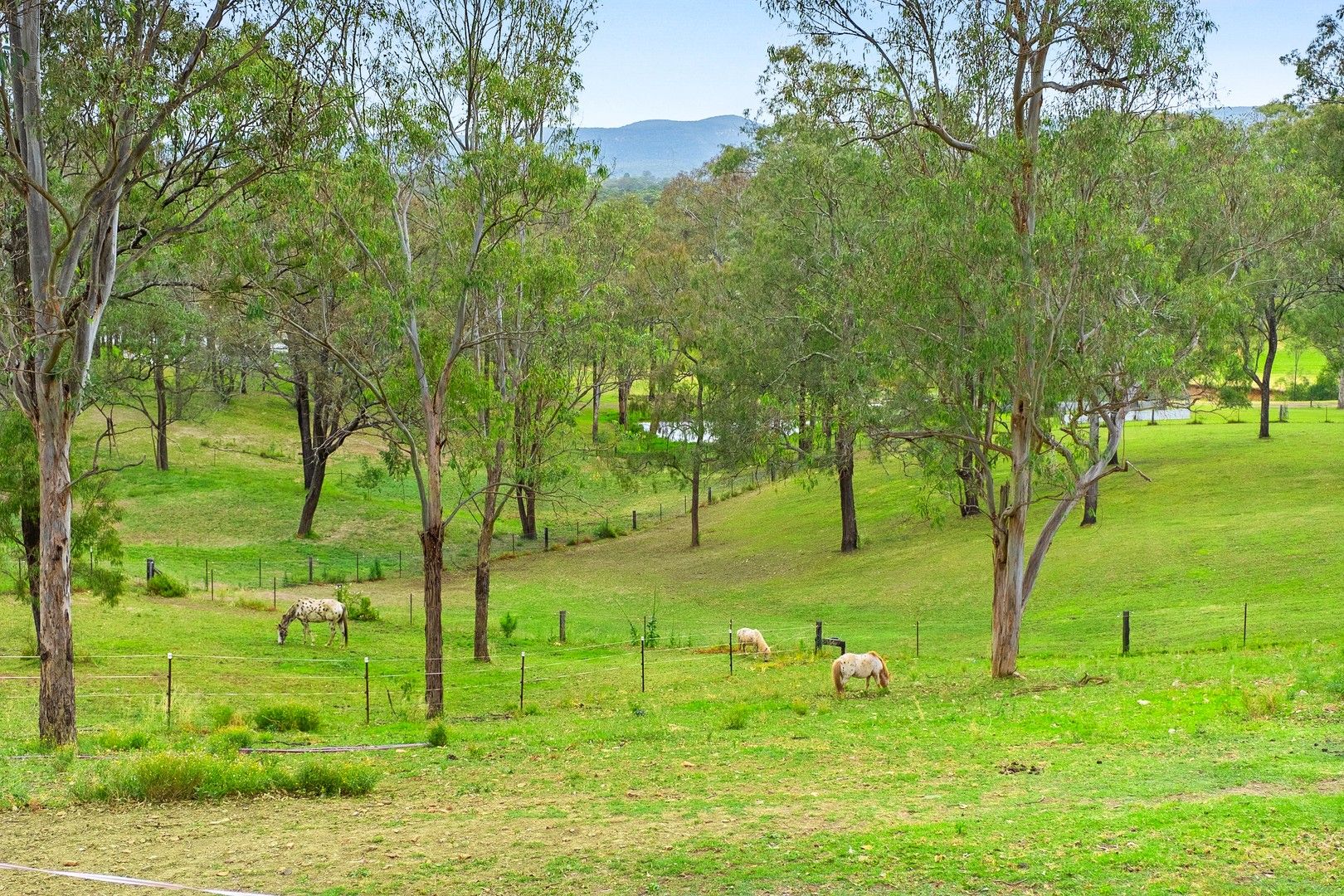 351 Grose Vale Road, Grose Vale NSW 2753 | Domain