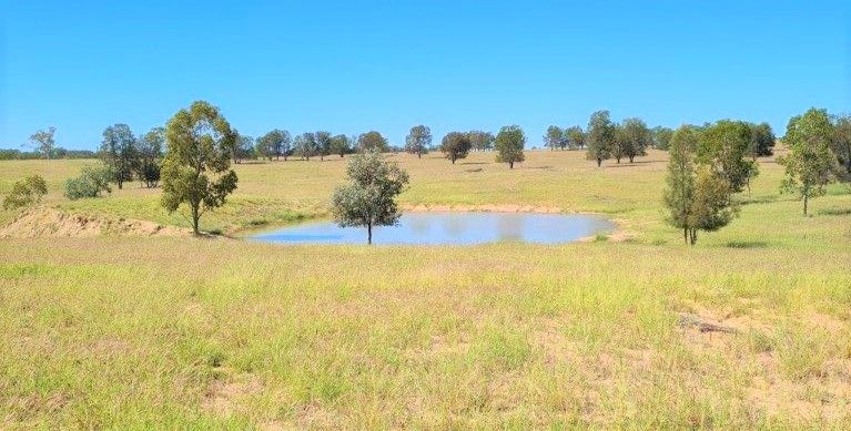 'Omeo' 1183 Westgrove Road, Injune QLD 4454 - House for Sale | Domain