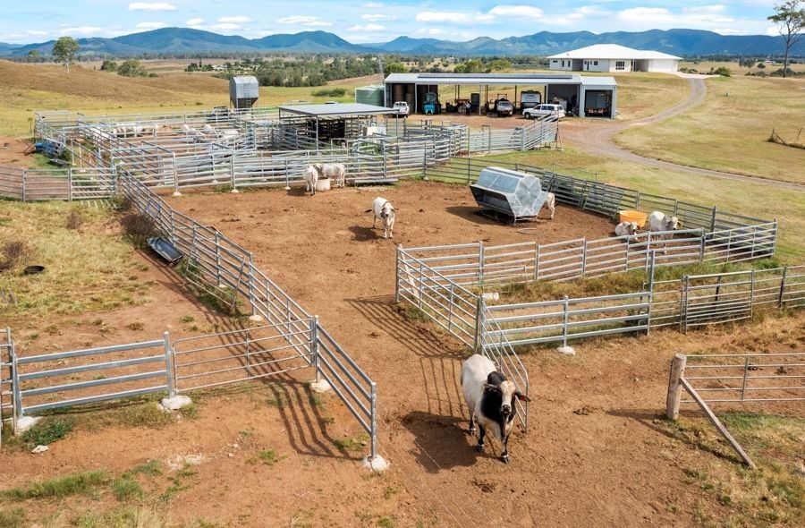 Lower Wonga QLD 4570 - House for Sale | Domain