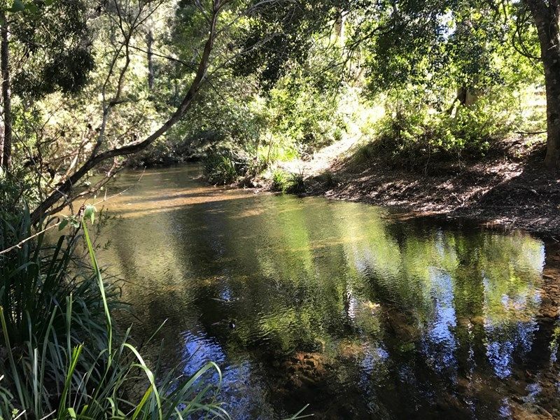 324 Black Flat Lane, Mount George | Property History & Address Research ...