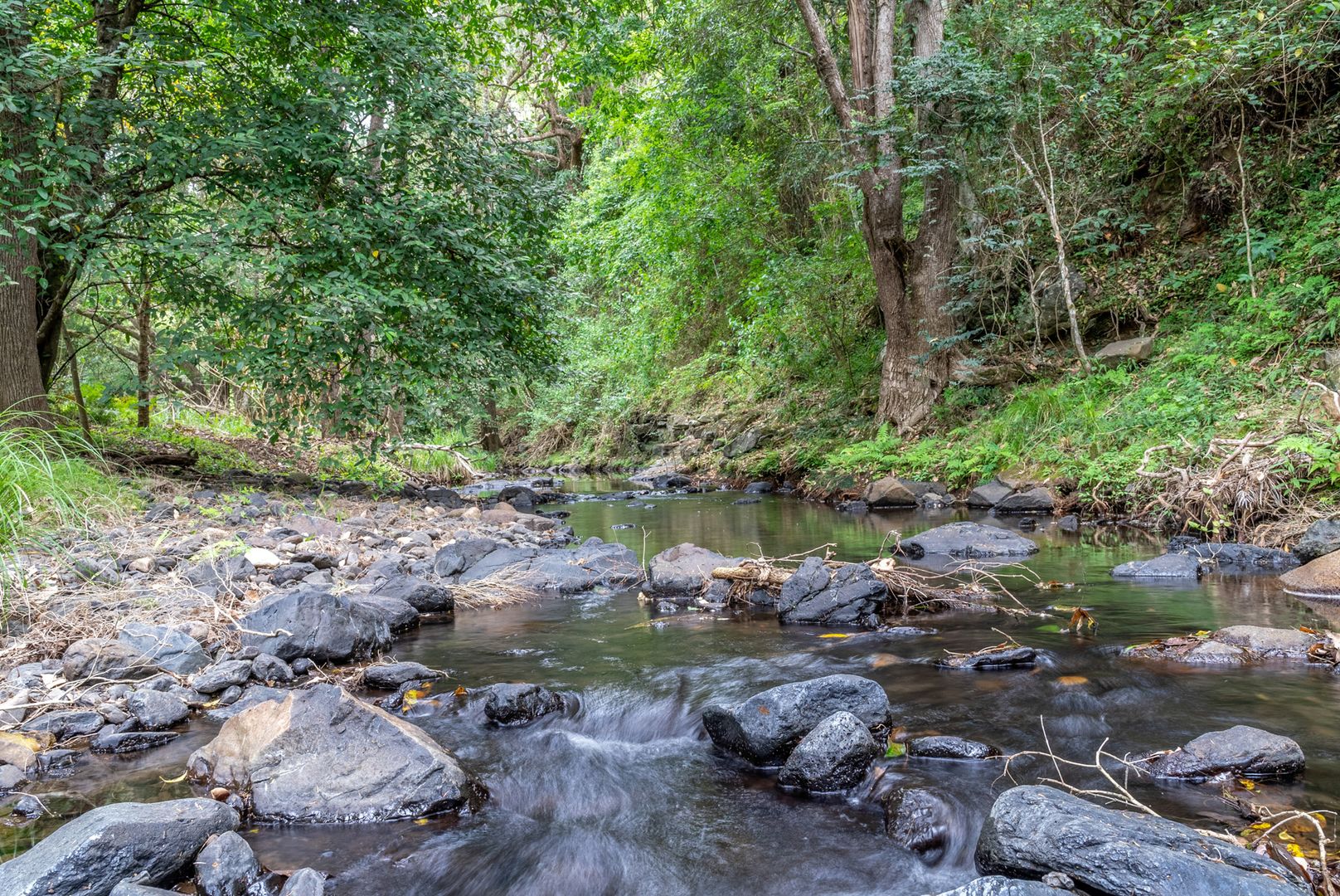 418 Terrace Creek, Terrace Creek via, Kyogle NSW 2474 - Farm for Sale ...