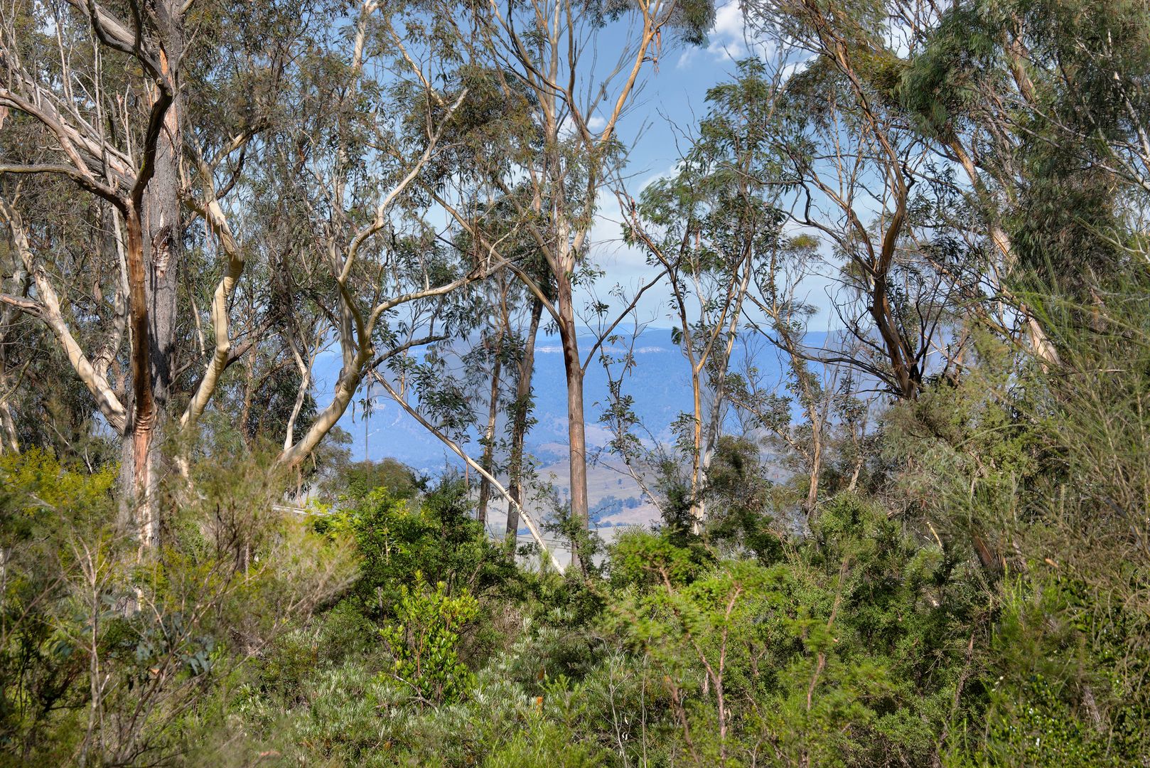 65 Victoria Street, Mount Victoria NSW 2786 | Domain