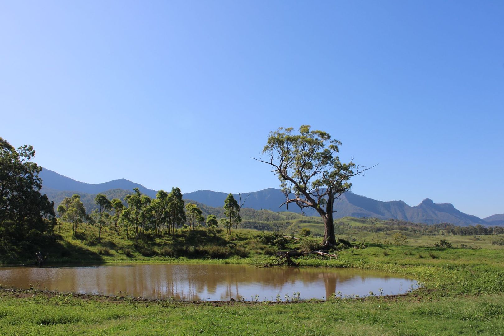 Simmonds Road, Tarome QLD 4309 - Vacant Land for Sale | Domain