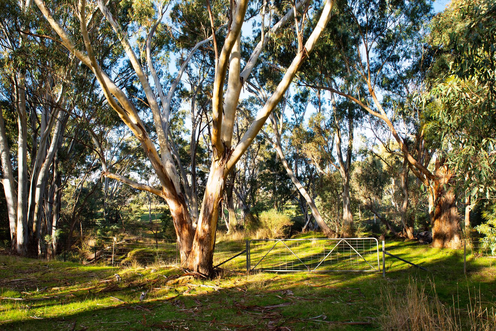 2/403 Yandoit-Werona Road, Franklinford VIC 3461 - House for Sale