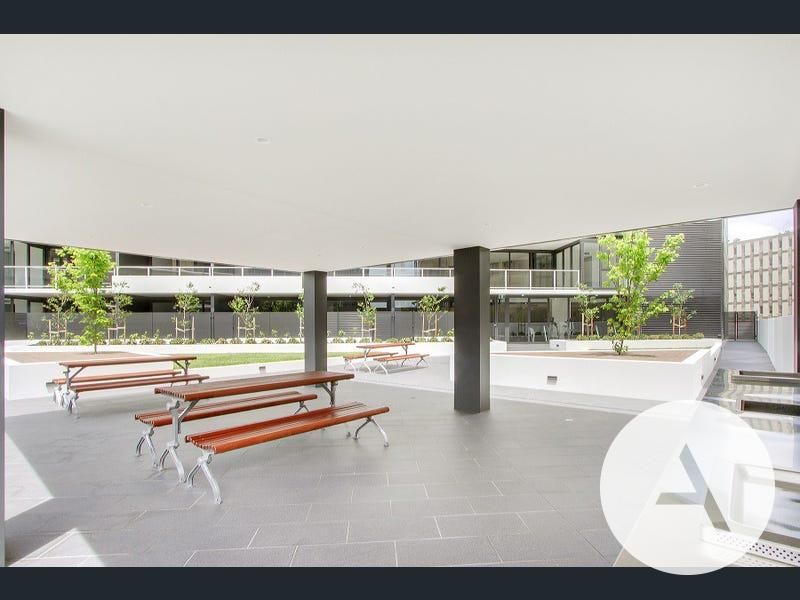 10/45 W Row, Canberra ACT 2601 - Apartment For Rent | Domain