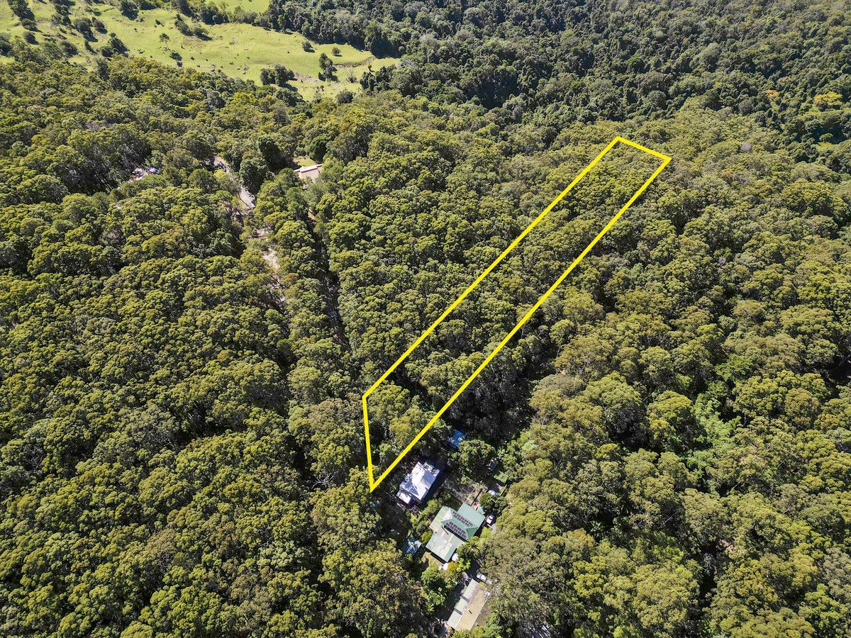 1943 Springbrook Road, Springbrook QLD 4213 | Domain