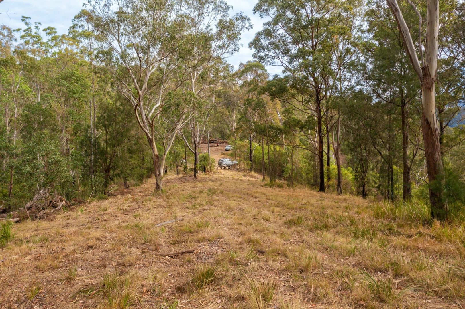 Lot 55 8930 Oxley Highway Mount Seaview, Mount Seaview NSW 2446 ...