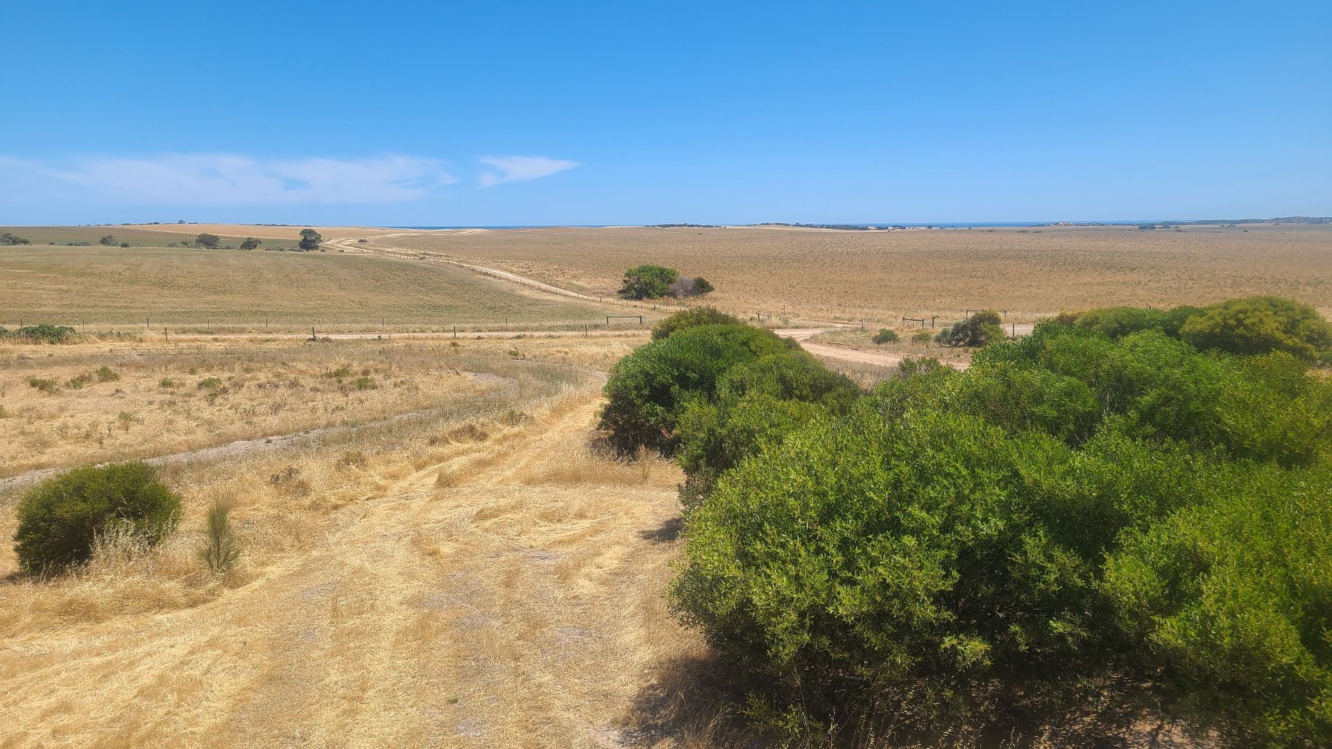 Lot 41 Mudge Road, Streaky Bay SA 5680 | Domain