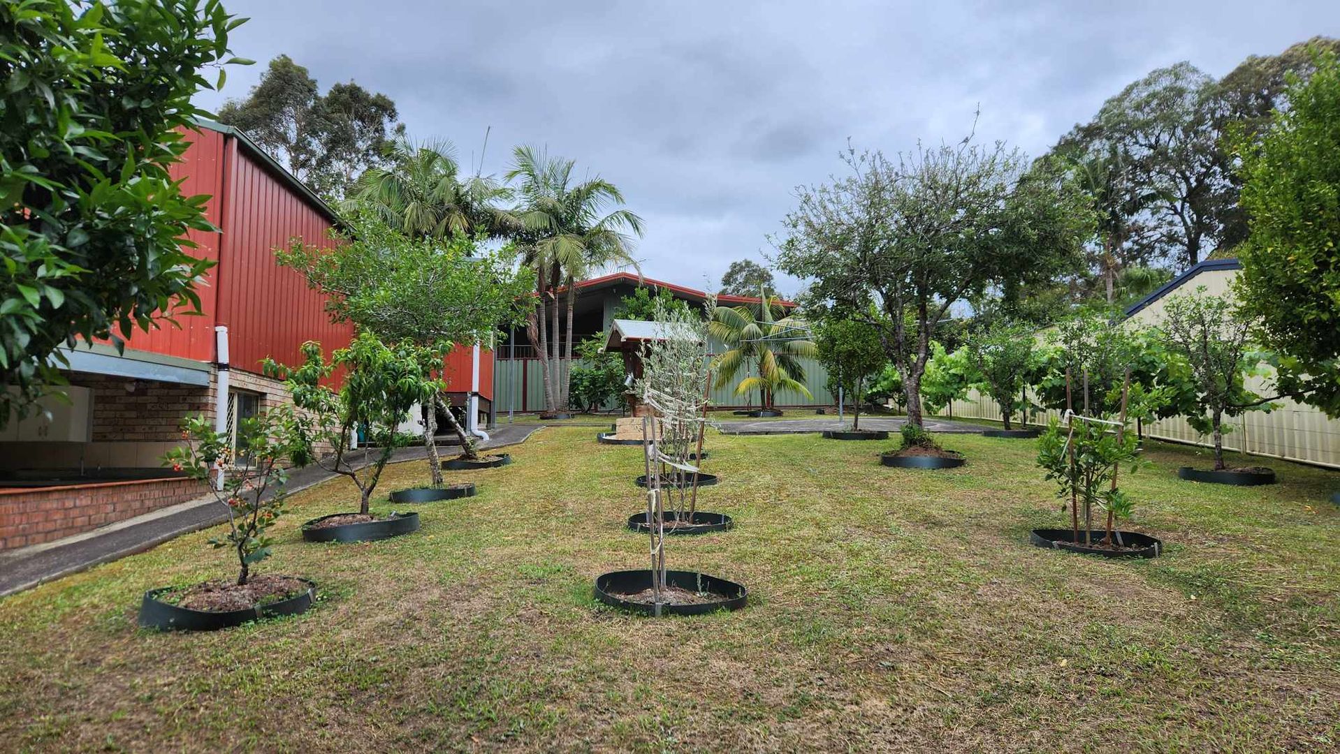 5 Palana Street, Surfside NSW 2536 | Domain