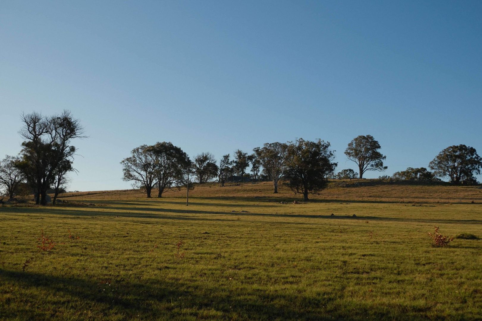 130 Mount MacKenzie Road, Tenterfield NSW 2372 | Domain