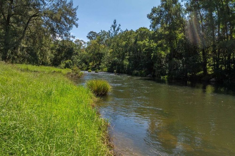 68 Tobins River Rd, Mount Seaview NSW 2446 - House for Sale | Domain