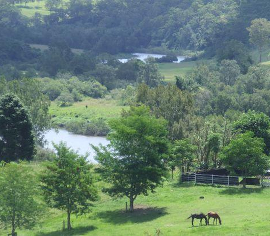 194 Toose Road, Bellbrook | Property History & Address Research | Domain