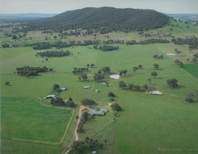 983 Belowra Road, Murringo | Property History & Address Research | Domain