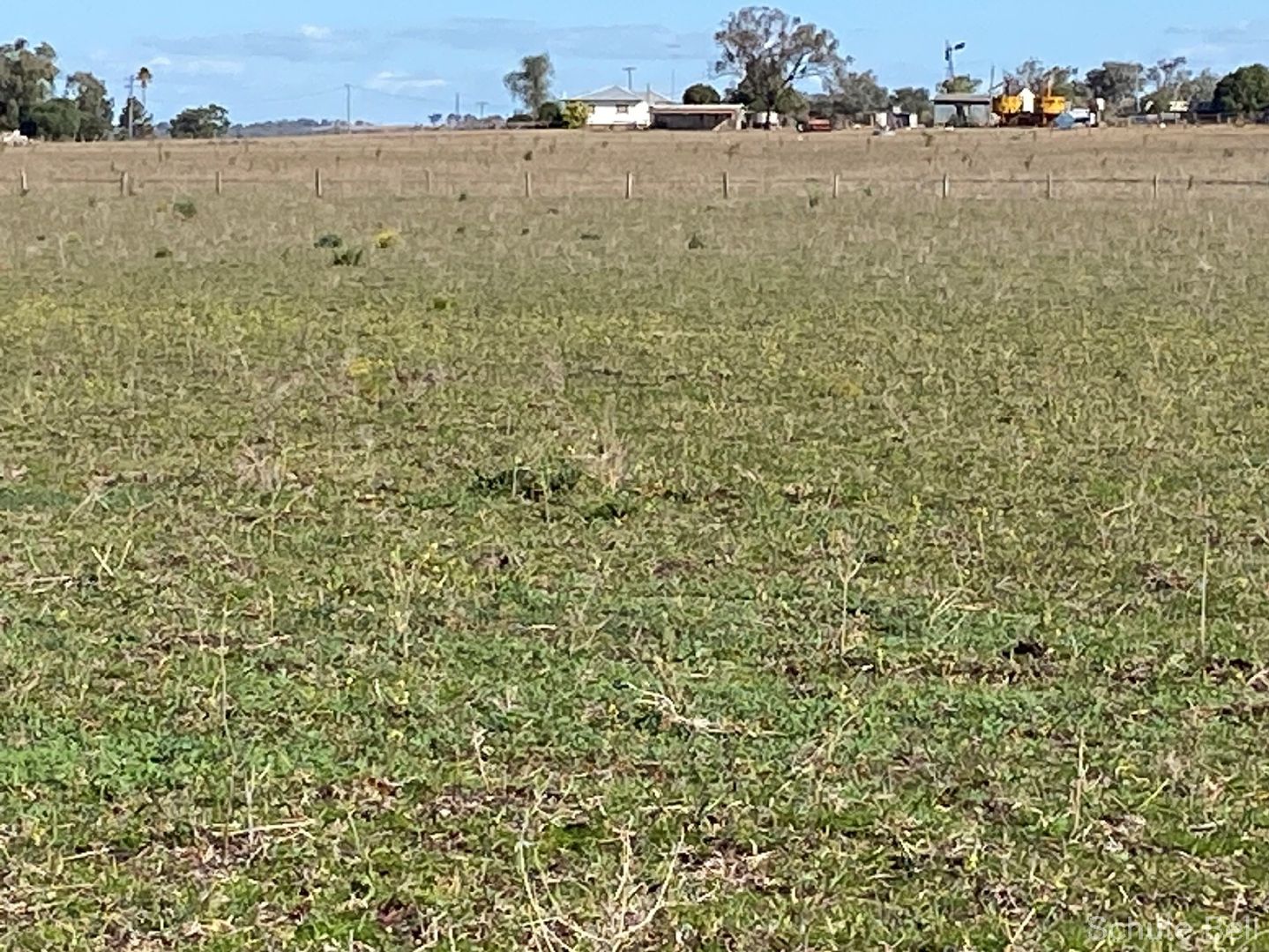 Hillside Ruhle Road, Mount Tyson QLD 4356 - House for Sale | Domain