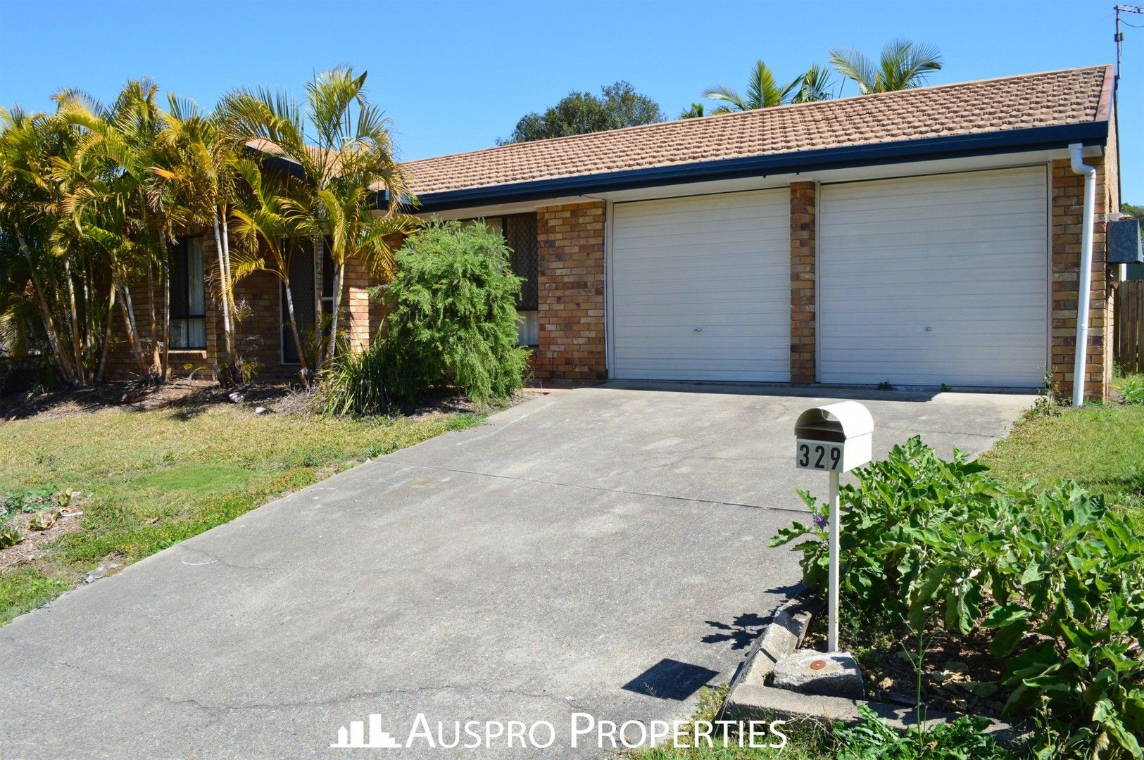 329 Gowan Road, Sunnybank Hills QLD 4109 - House For Rent | Domain