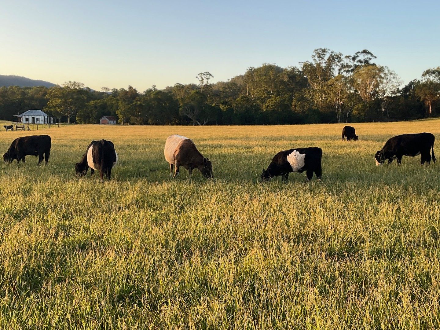 37 Johnsons Creek Road, Stroud Road NSW 2415 - Vacant Land for Sale