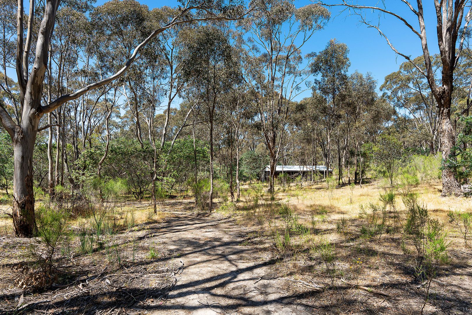 480 Boundary Gully Road, Yandoit Hills VIC 3461 - Vacant Land for Sale ...