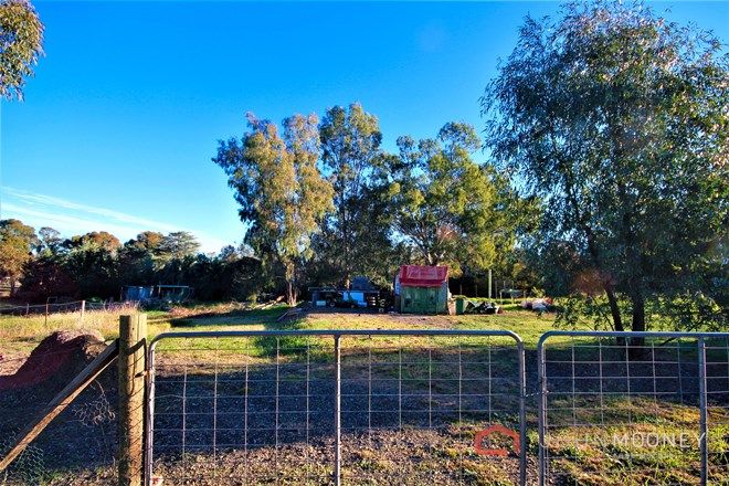 505 Real Estate Properties for Sale in Tarcutta, NSW, 2652 | Domain