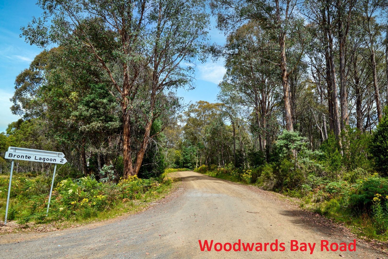 4/172 Woodwards Bay Road, Bradys Lake TAS 7140 - Vacant Land for Sale ...
