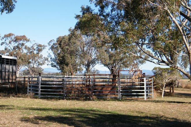 620 Real Estate Properties for Sale in Spring Ridge, NSW, 2343 | Domain