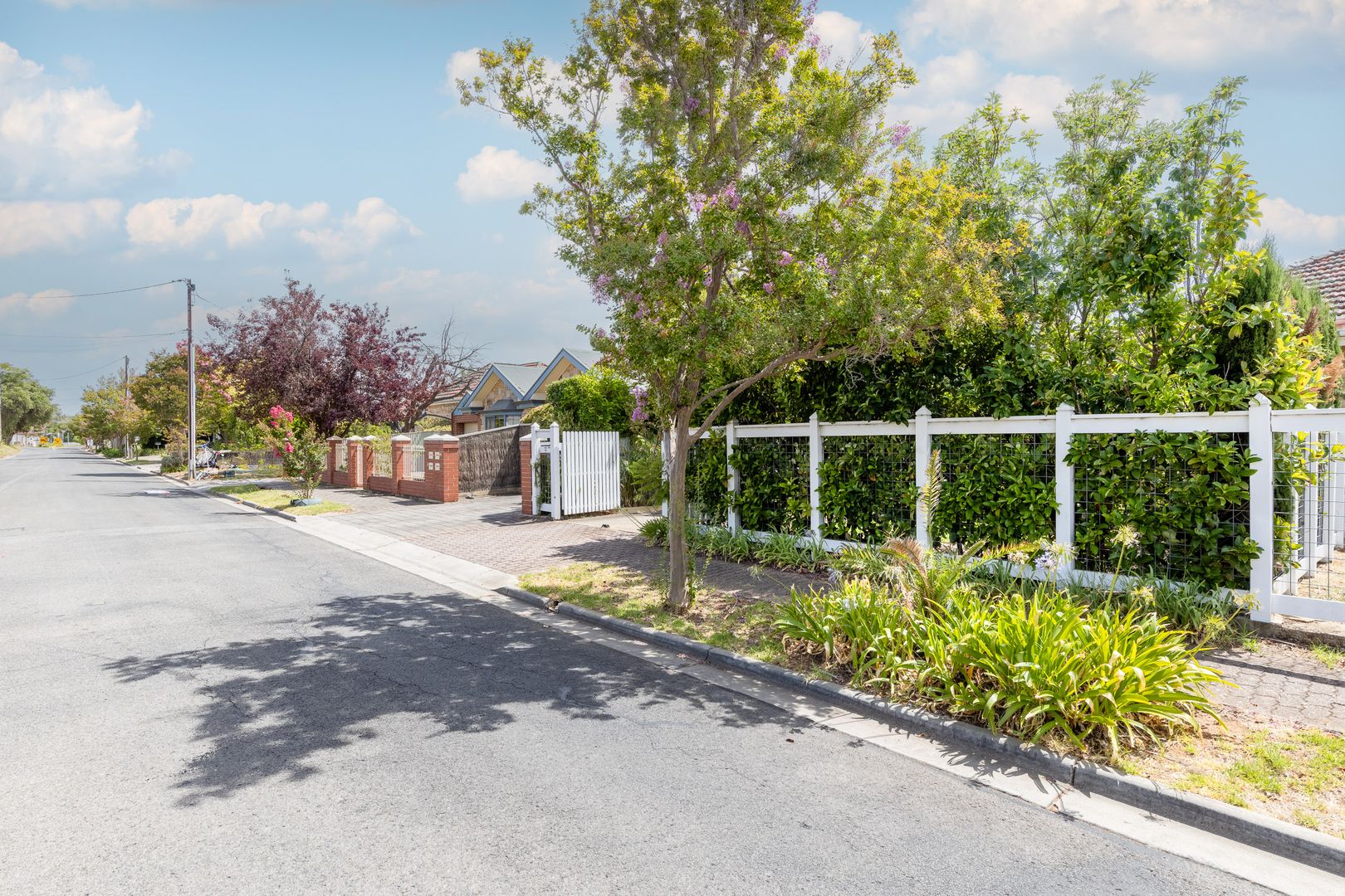12 Rutherglen Avenue, Collinswood SA 5081 - House For Rent | Domain