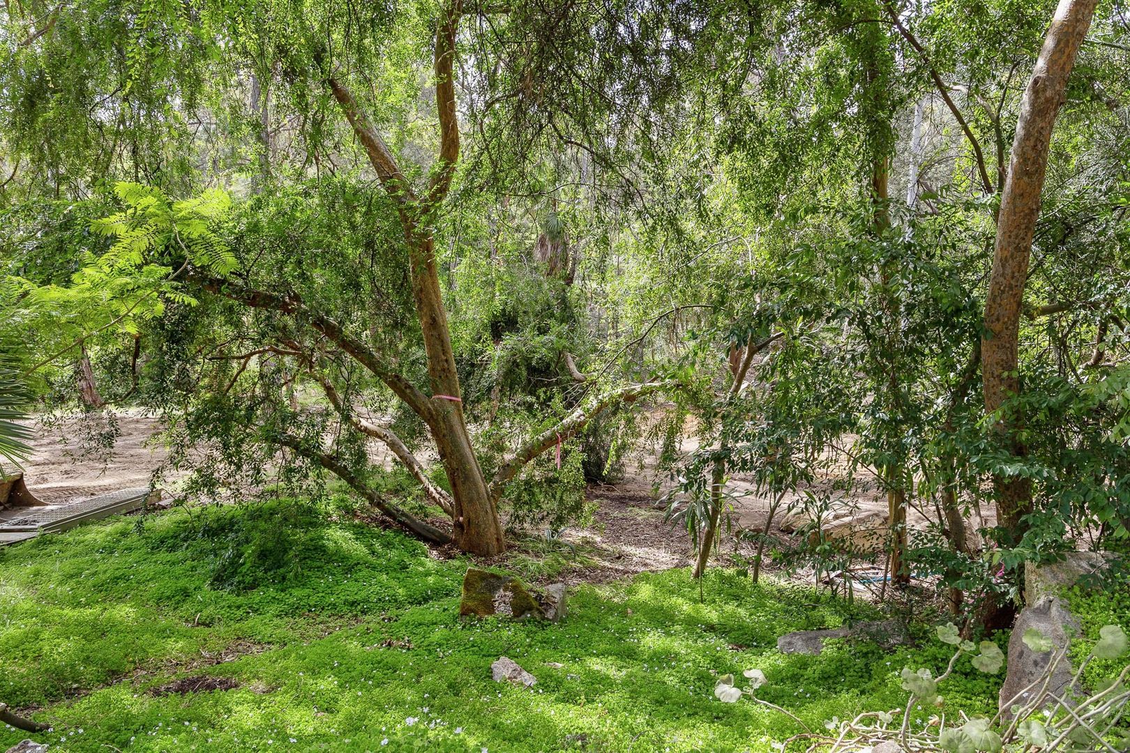 1 Tillbrook Street, Glen Forrest WA 6071 | Domain