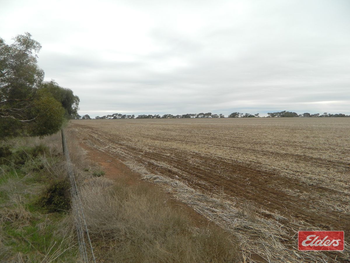 349 Smith Road, Lower Light SA 5501 - Vacant Land for Sale | Domain