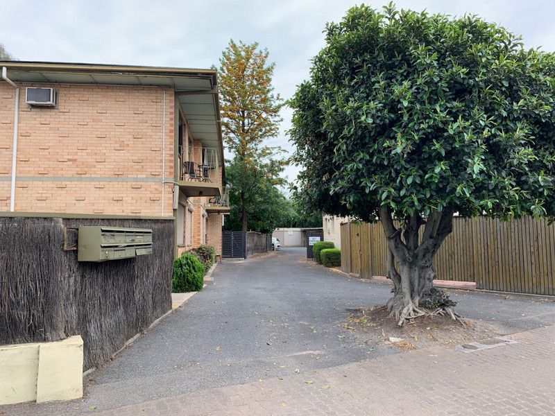 1/3-5 North East Road, Collinswood SA 5081 - Apartment For Rent | Domain
