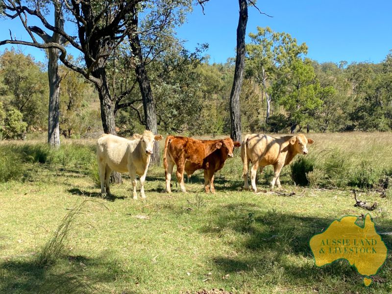 3310 Beeron Road, Mundubbera QLD 4626 - Vacant Land for Sale | Domain