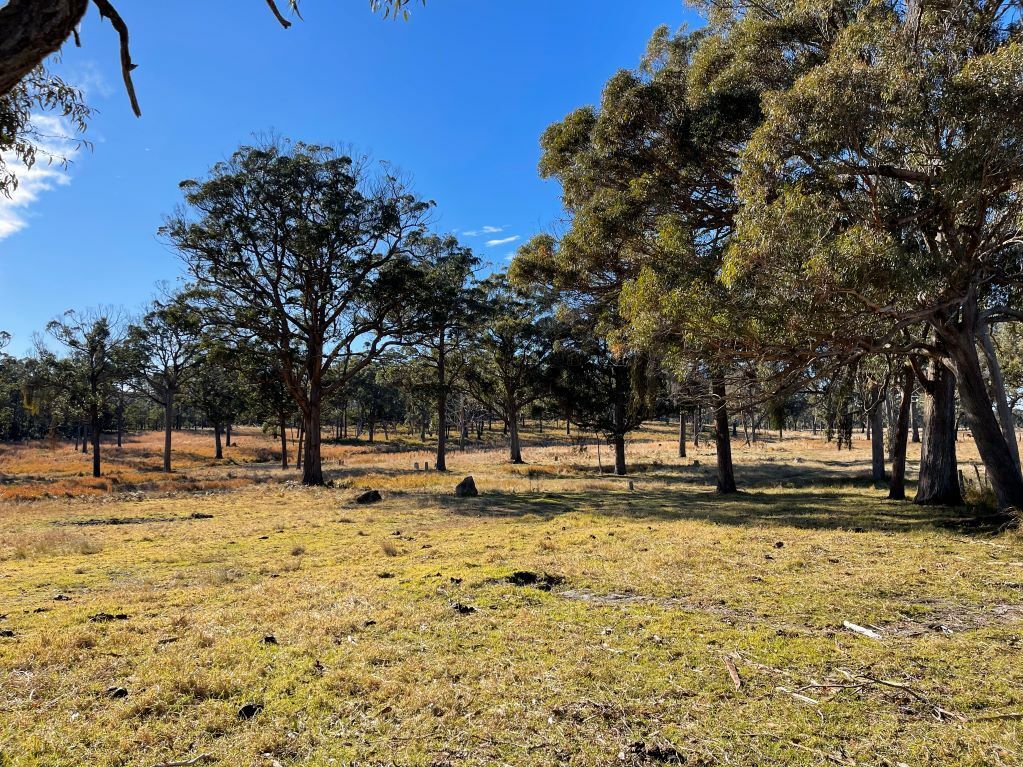 LOT/261 Hardy Road, Eukey QLD 4380 - Vacant Land for Sale - $2,250,000